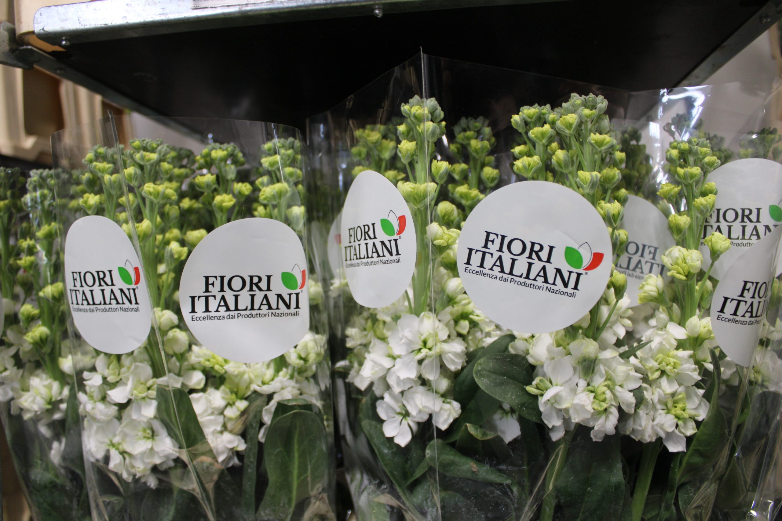 Coldiretti - TOSCANA